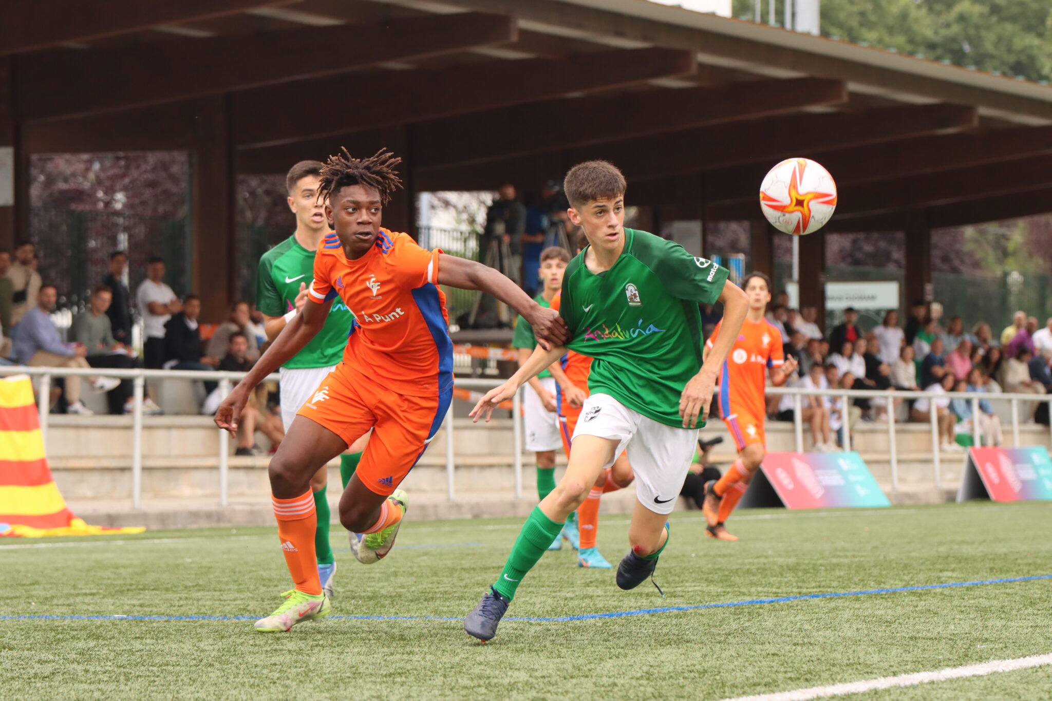 competiciones – FFCV